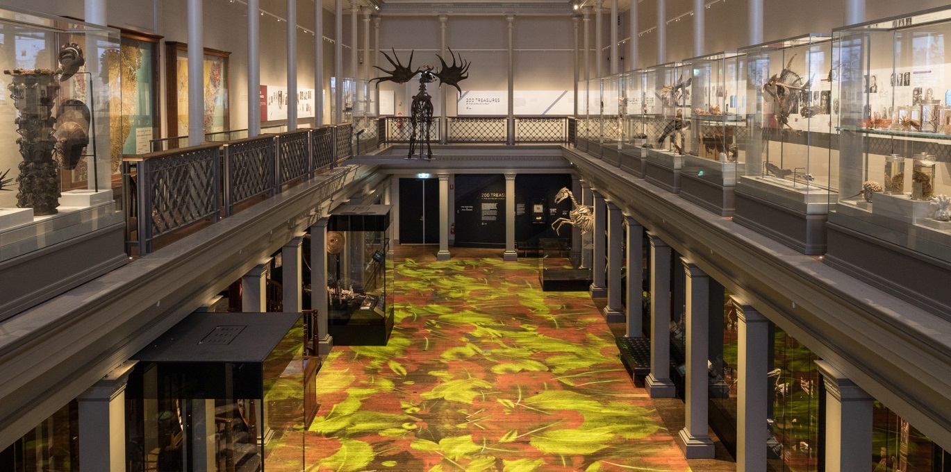 Australian Museum unveils new exhibit - Spice News